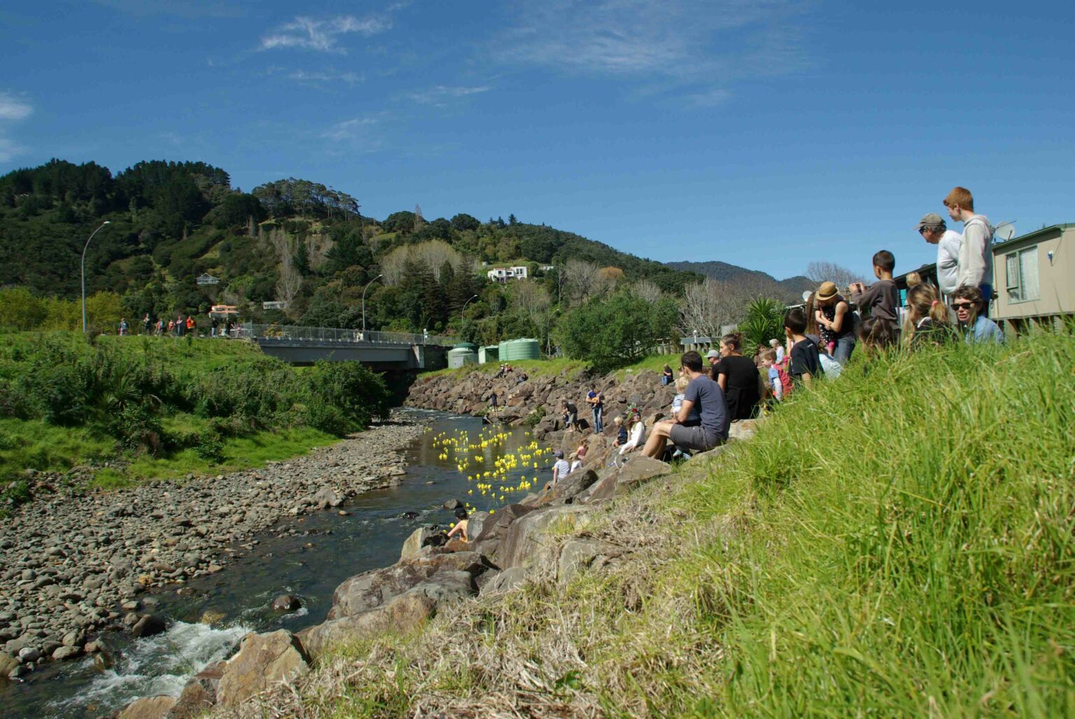 Ducky fundraiser set to return – The Valley Profile