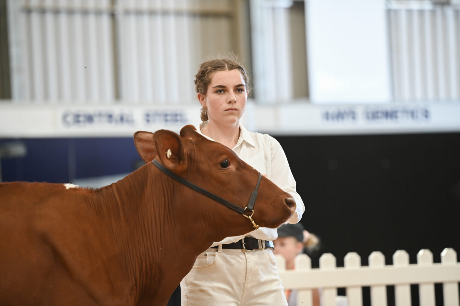 Pirie Farms shines at Australasian events – The Valley Profile