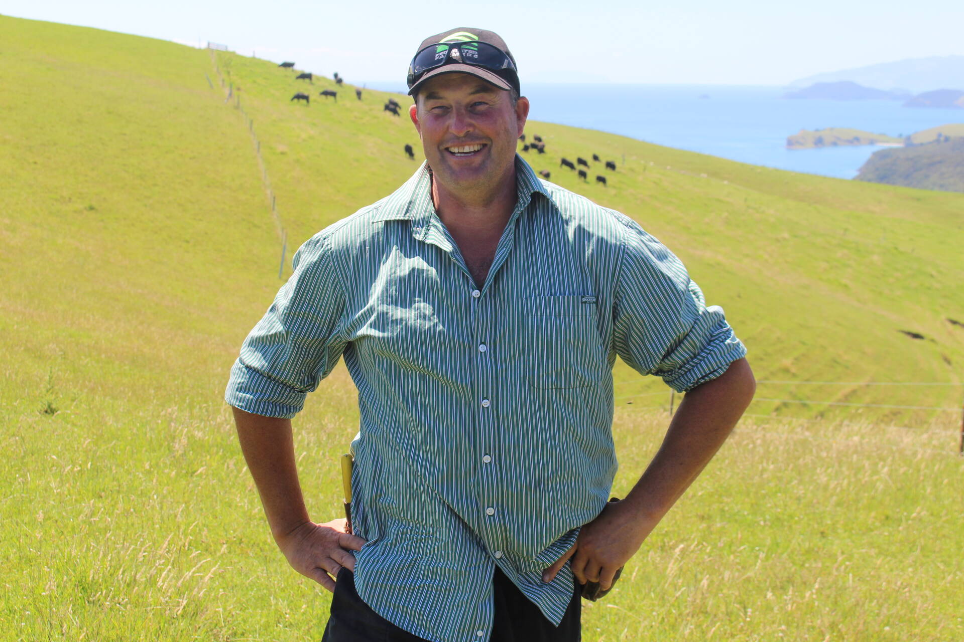 Fonterra orders an end to killing bobby calves – The Valley Profile