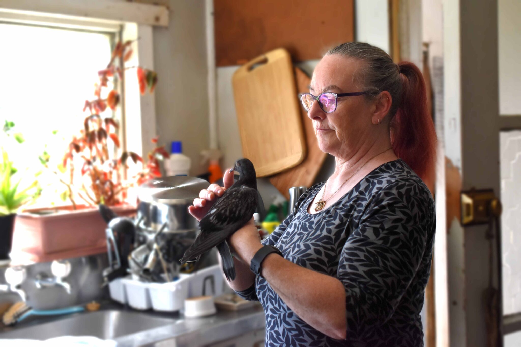 Rest and recuperation for feathered friends – The Valley Profile