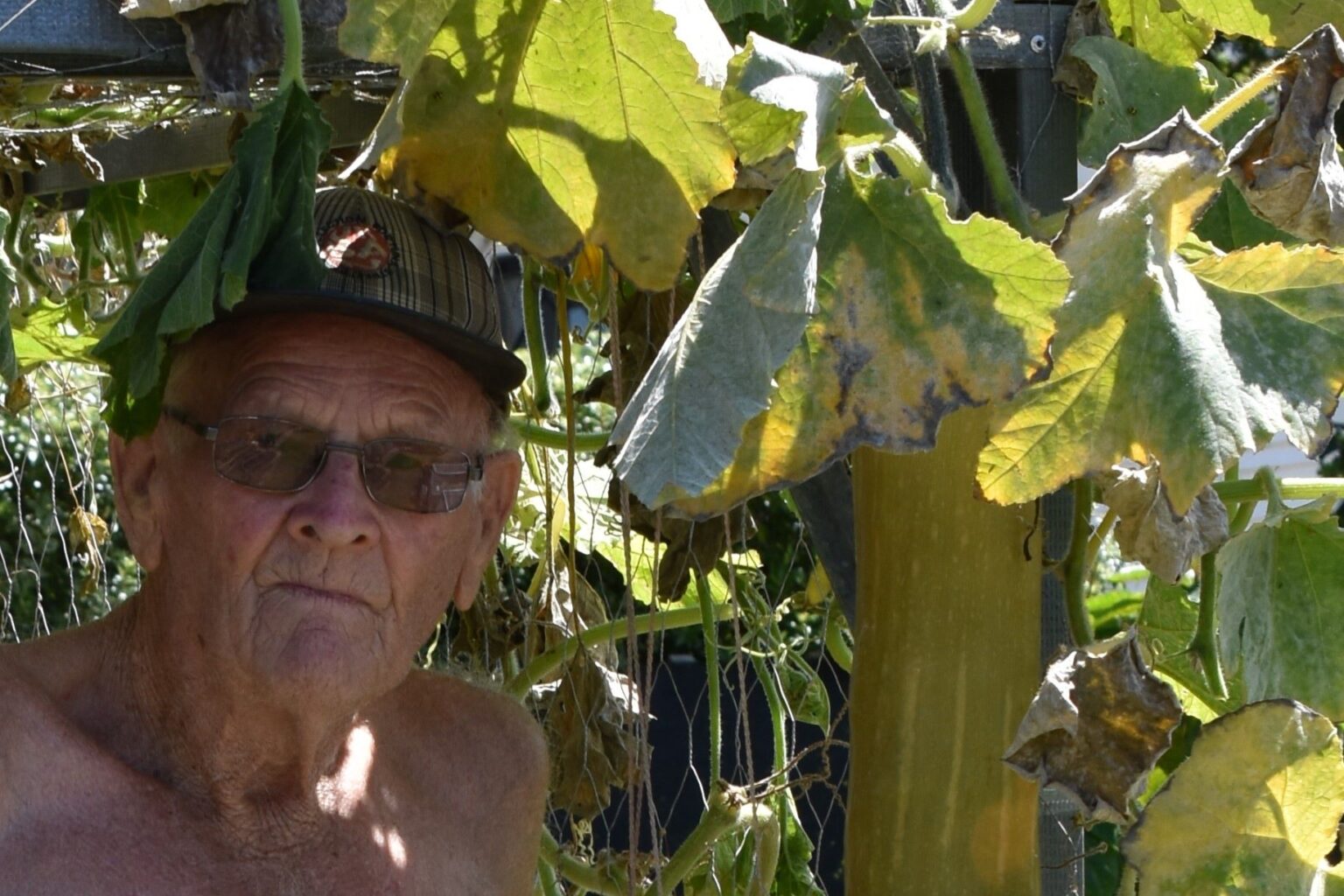 From lawn to vege garden – The Valley Profile