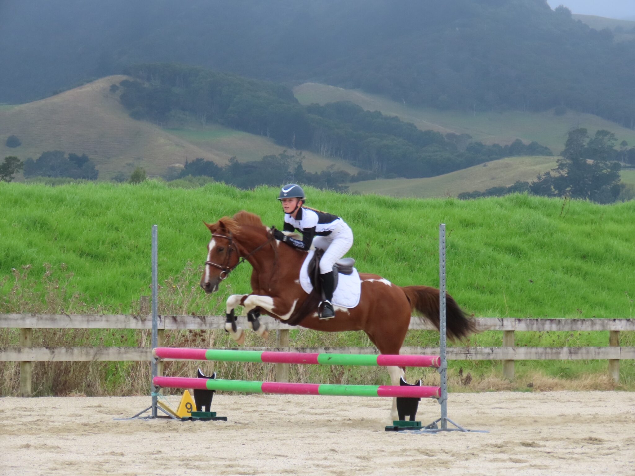 Horsing around – The Valley Profile