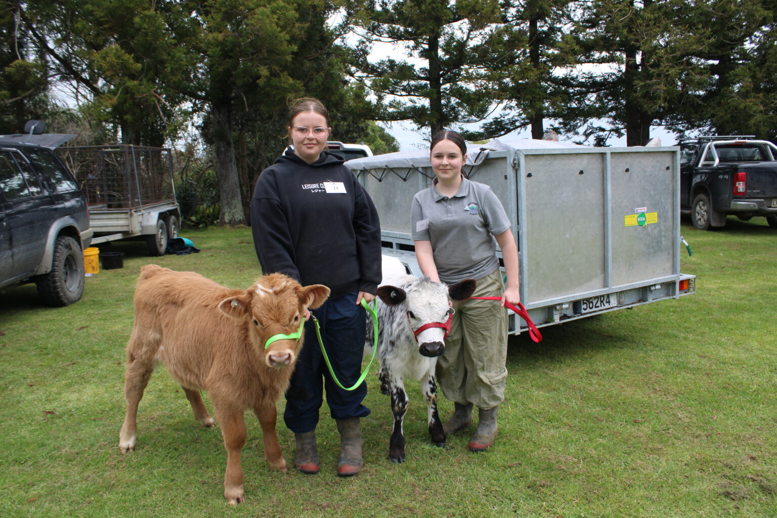 Calf club fun – The Valley Profile